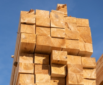 Timber | Green Master Packaging