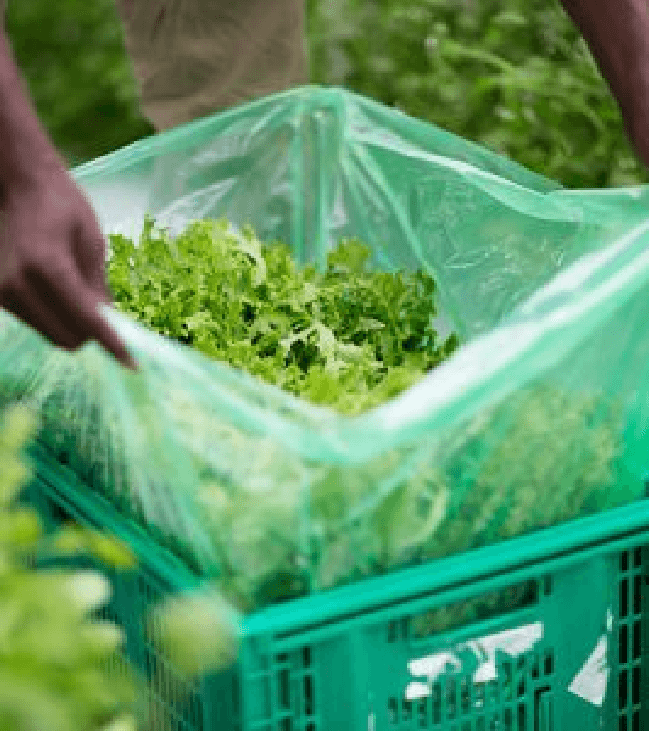 Biodegradable Food Packaging | Compostable Food Bags Melbourne | Green ...