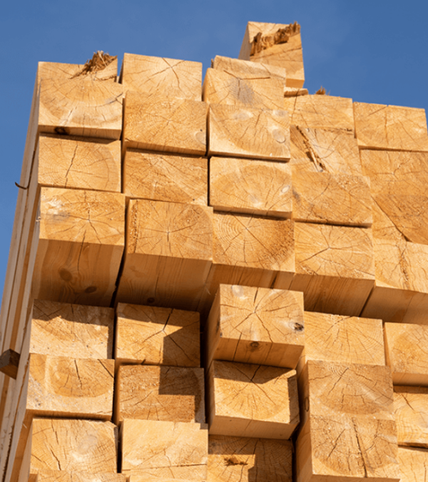 Timber | Green Master Packaging